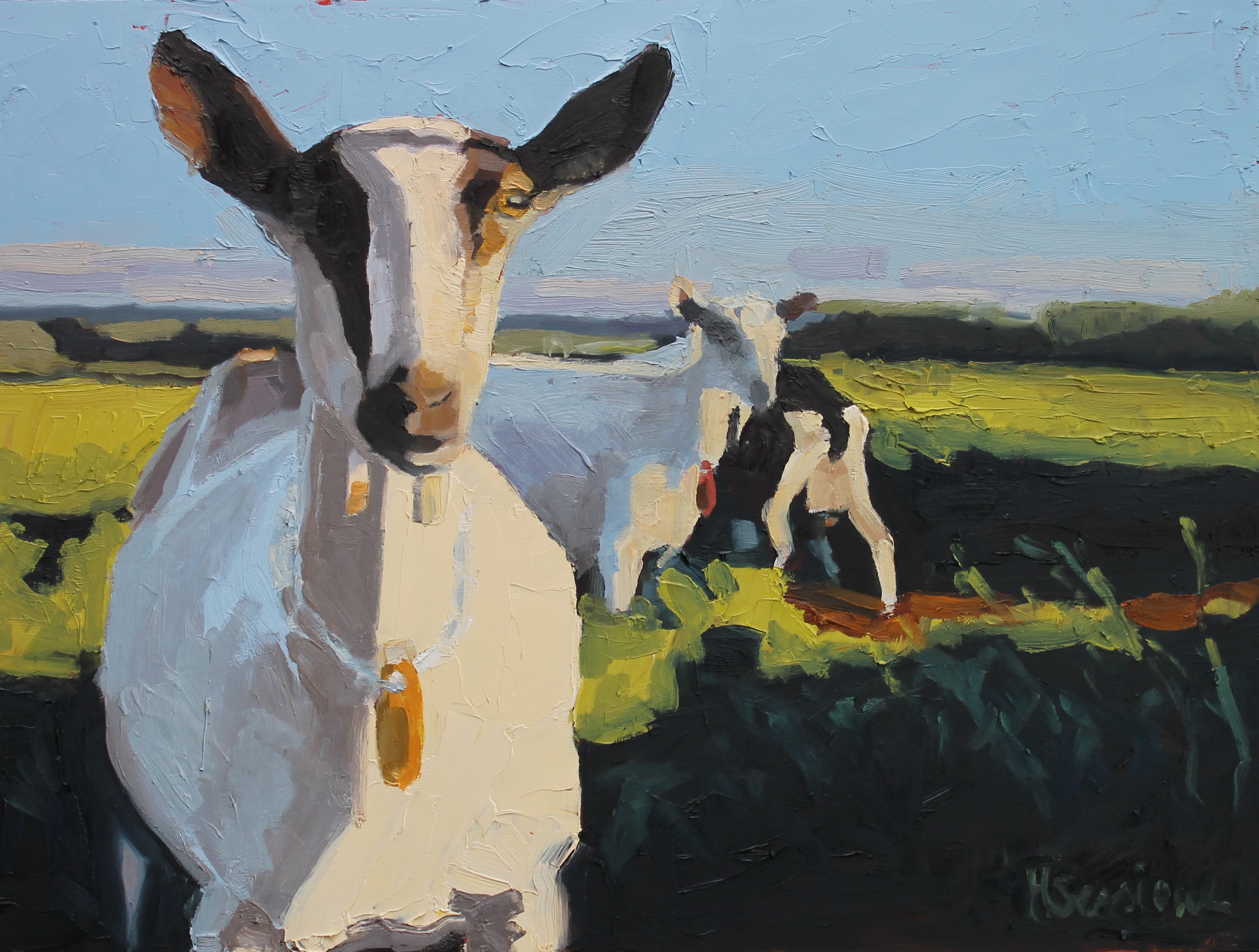 paintings – Hannah Sessions