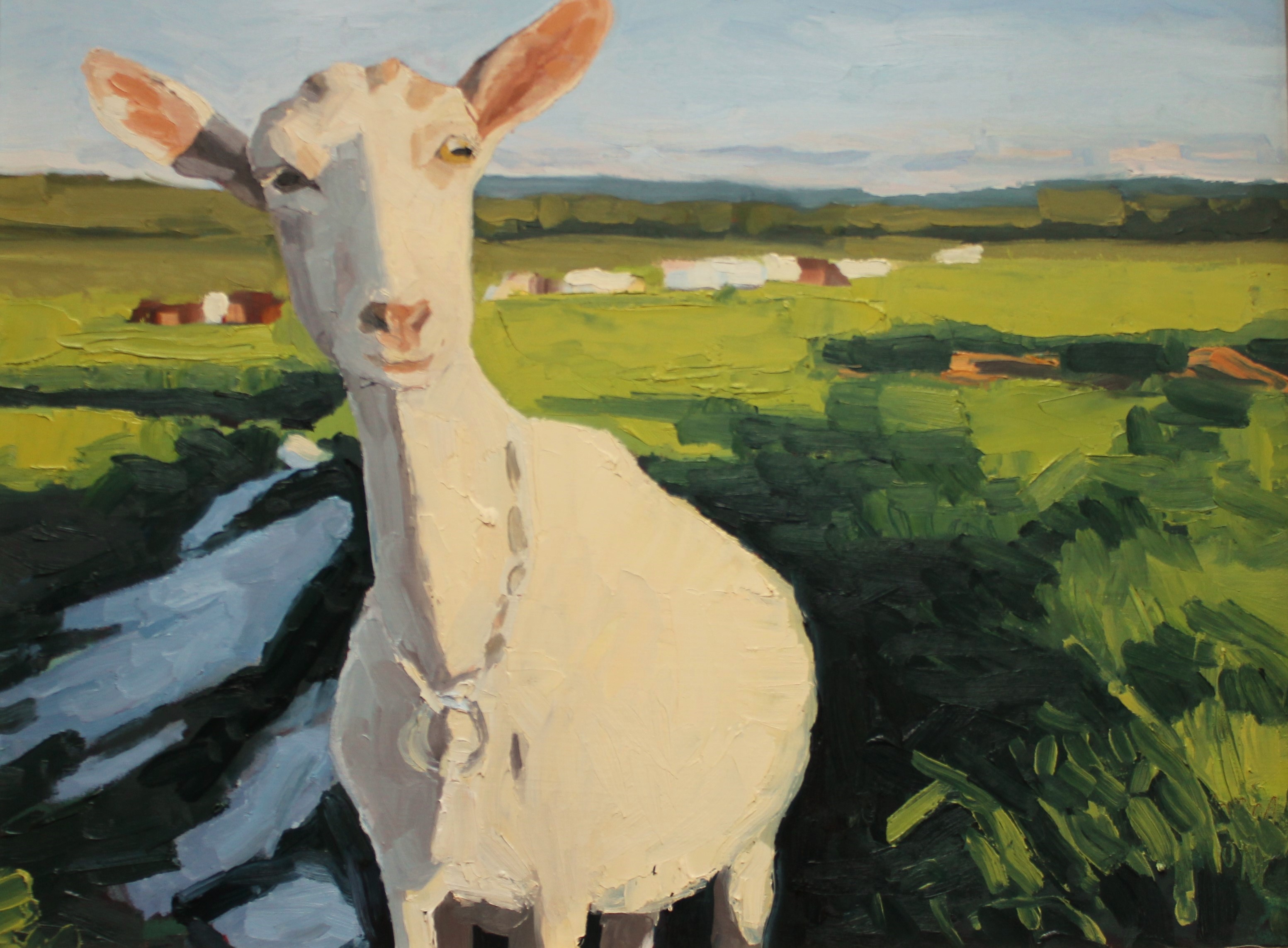 Work – Hannah Sessions