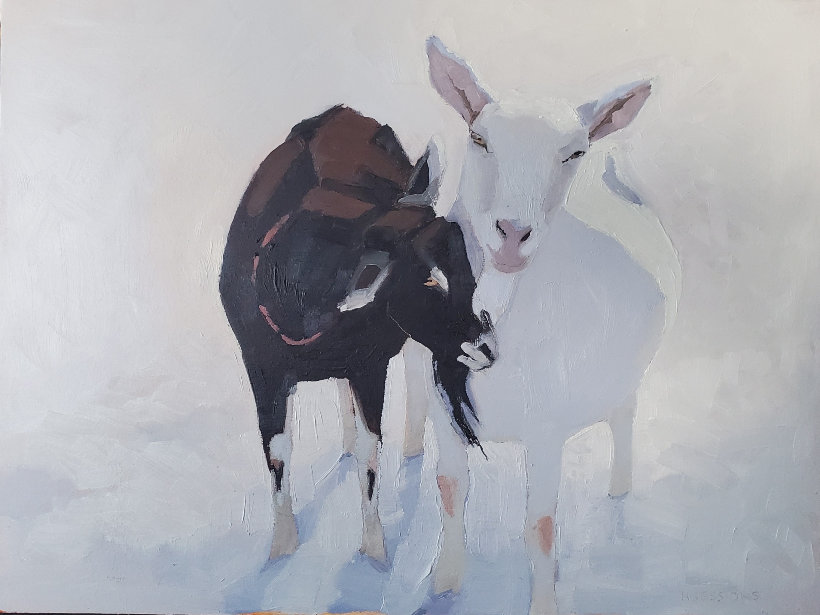 paintings – Hannah Sessions