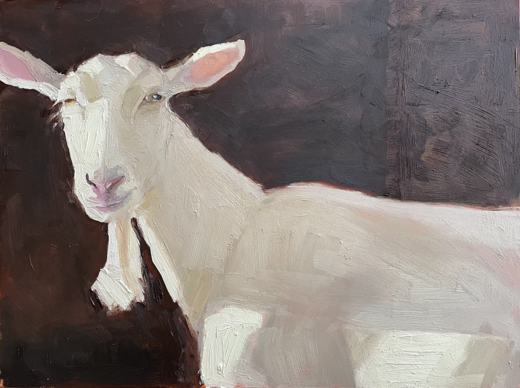 paintings – Hannah Sessions